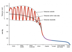 Berapa Volume Darah Manusia? - Kerajaan Biologi